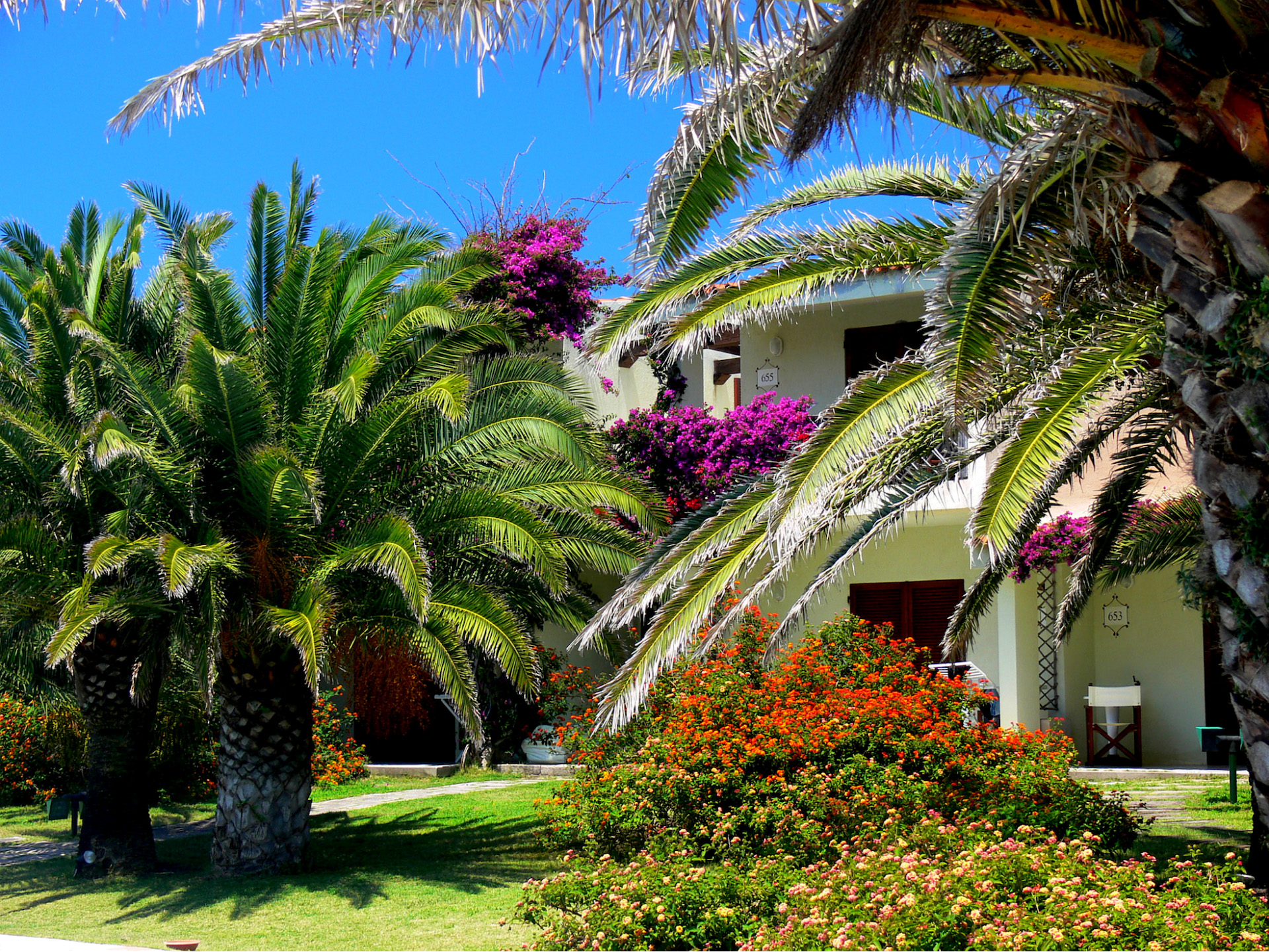 The Most Sophisticated Plants for Your Florida Lawn - Skinner Lawns